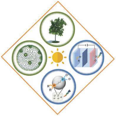 Photocatalysis: Basic Principles, Diverse Forms of Implementations and ...