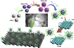 Grafting poly (amidoamine) dendrimer-modified silica nanoparticles to ...