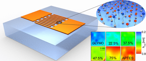 Controlled Engineering of Oxide Surfaces for Bioelectronics ...