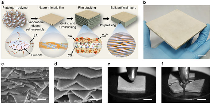 Mass production of bulk artificial nacre with excellent mechanical properties.,Nature ...