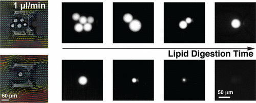 Microfluidic Technique for the Simultaneous Quantification of Emulsion ...