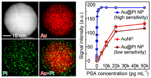Platinum-Decorated Gold Nanoparticles with Dual Functionalities for ...
