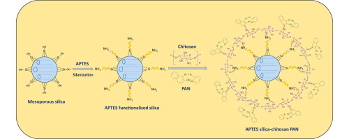 配体固定化的新型混合吸附剂，用于去除废水中的稀土元素：评估在与壳聚糖杂交的过程中使用APTES官能化二氧化硅的可行性,Chemical ...