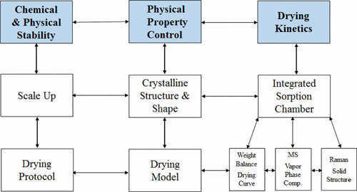 From Drying Kinetics, Solvate Structure, Particle Morphology, and ...