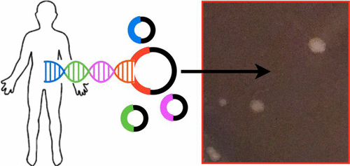Identification of the Colicin V Bacteriocin Gene Cluster by Functional ...