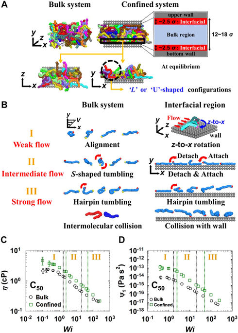 Molecular dynamics for linear polymer melts in bulk and confined systems under shear flow ...
