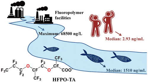 First Report on the Occurrence and Bioaccumulation of ...
