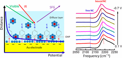Interfacial Structure and Electric Field Probed by in Situ ...