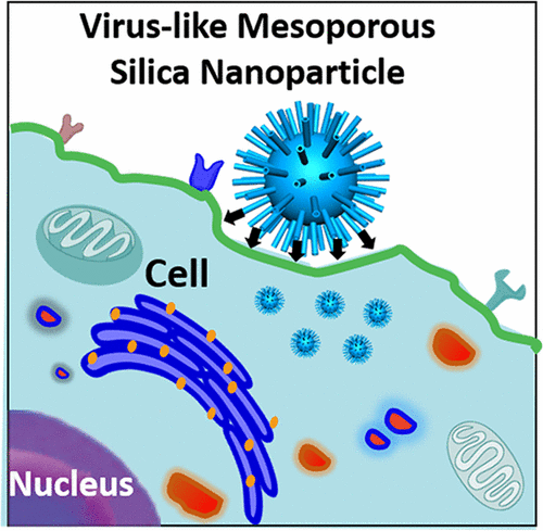 Facile Synthesis of Uniform Virus-like Mesoporous Silica Nanoparticles ...