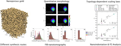 Morphological similarity and structure-dependent scaling laws of ...