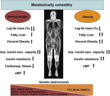 Causes, Characteristics, and Consequences of Metabolically Unhealthy ...