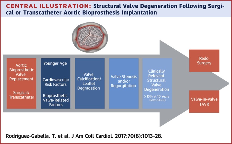 Aortic Bioprosthetic Valve Durability,Journal of the American College ...