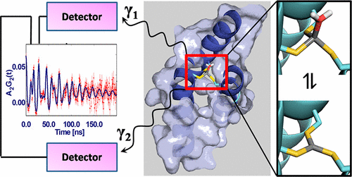 Nanosecond Dynamics at Protein Metal Sites: An Application of Perturbed ...