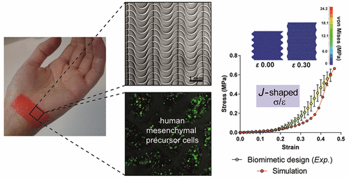 An Integrated Design, Material, and Fabrication Platform for ...