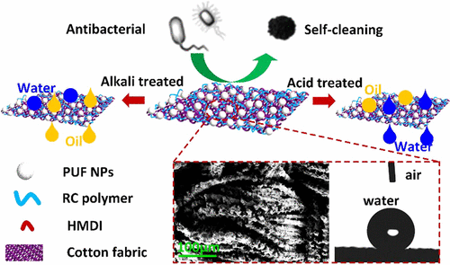 pH-Induced Switchable Superwettability of Efficient Antibacterial Fabrics for Durable Selective ...
