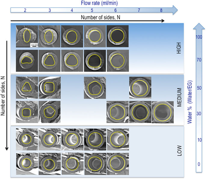 Evolution of regular geometrical shapes in fiber lumens.,Scientific ...