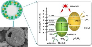 In situ construction of hierarchical WO3/g-C3N4 composite hollow ...