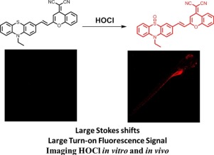 Development of an enhanced turn-on fluorescent HOCl probe with a large ...
