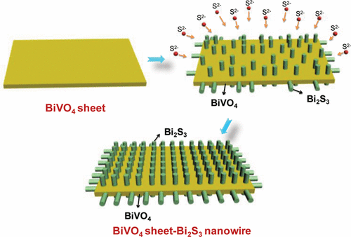 Bi2S3-Nanowire-Sensitized BiVO4 Sheets for Enhanced Visible-Light ...