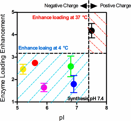 增强酶活性和纳米结构无机-酶复合物的固定化,Langmuir - X-MOL