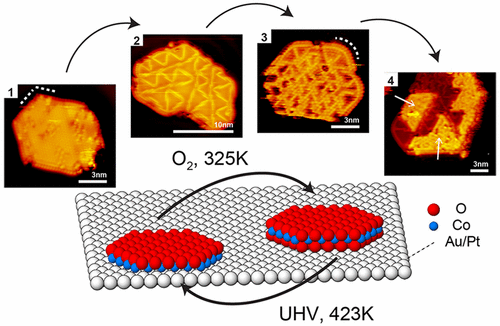 Phase Transitions of Cobalt Oxide Bilayers on Au(111) and Pt(111): The ...
