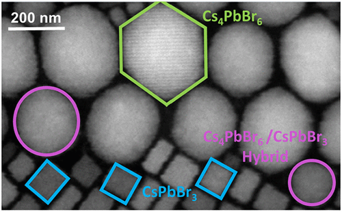 Hybridization of Single Nanocrystals of Cs4PbBr6 and CsPbBr3,The ...