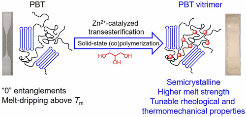 Poly(butylene terephthalate)/Glycerol-based Vitrimers via Solid-State ...