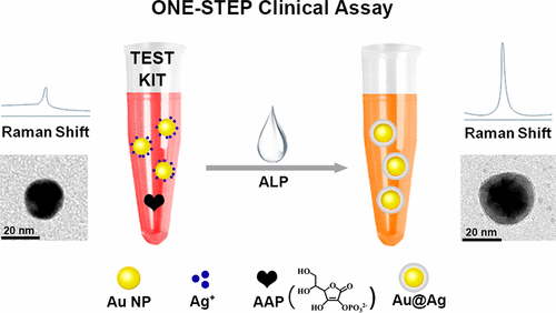 Rapid and Reliable Detection of Alkaline Phosphatase by a Hot Spots ...