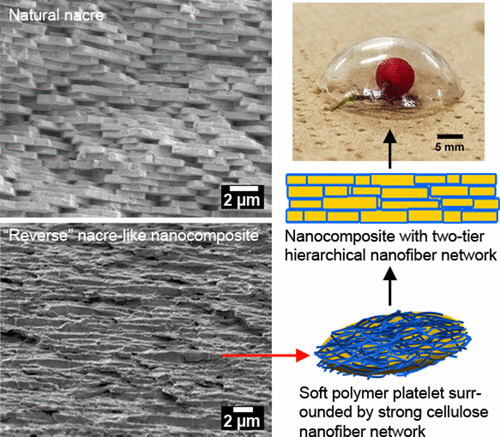 Three-Dimensional-Moldable Nanofiber-Reinforced Transparent Composites ...