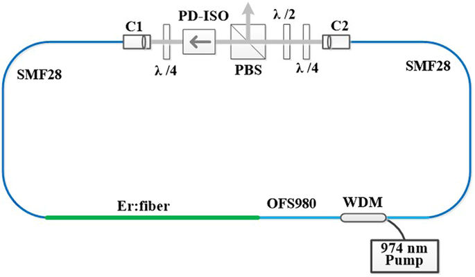 Simultaneous emission of Gaussian-like and parabolic-like pulse ...