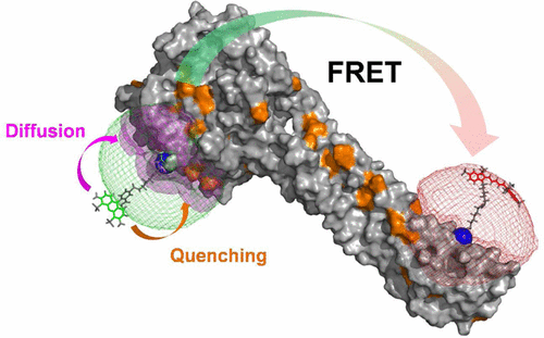 Combining Graphical and Analytical Methods with Molecular Simulations ...