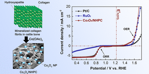 Hydrothermal Synthesis of Highly Dispersed Co3O4 Nanoparticles on Biomass-Derived Nitrogen-Doped ...