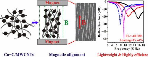 Magnetically Aligned Co–C/MWCNTs Composite Derived from MWCNT ...