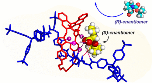 Enantioselective Anion Recognition by Chiral Halogen-Bonding [2]Rotaxanes,Journal of the ...