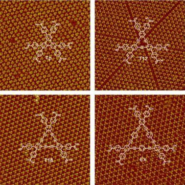 On-Surface Self-Assembly of a C3-Symmetric π-Conjugated Molecule Family ...