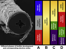 Total electron acceptor loading and composition affect hexavalent ...