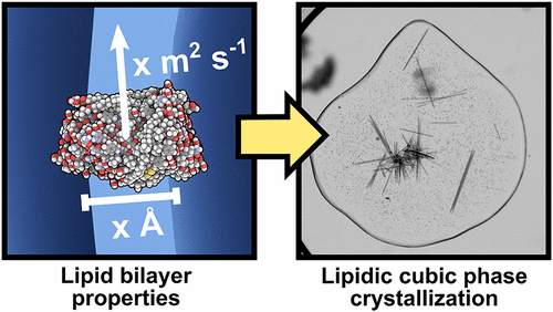 Lipidic Cubic Phase-Induced Membrane Protein Crystallization: Interplay ...