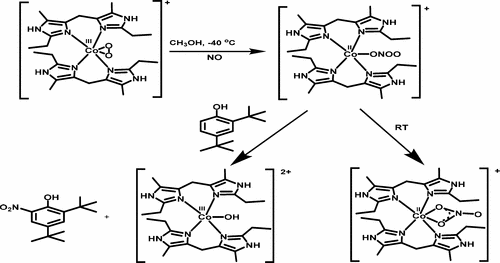 Reaction of a Co(III)-Peroxo Complex and NO: Formation of a Putative ...