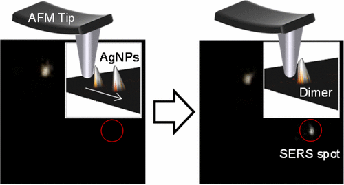 In Situ Observation of Surface-Enhanced Raman Scattering from Silver ...