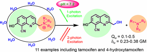 Photochemical Activation of Tertiary Amines for Applications in ...