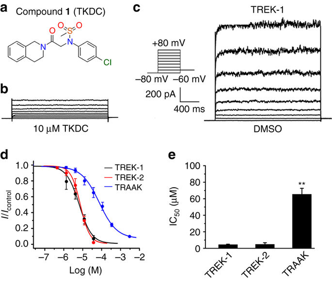 K2P通道的细胞外帽中的变构配体结合位点。,Nature Communications - X-MOL