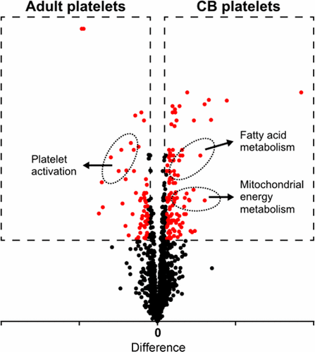 Differences between Platelets Derived from Neonatal Cord Blood and ...