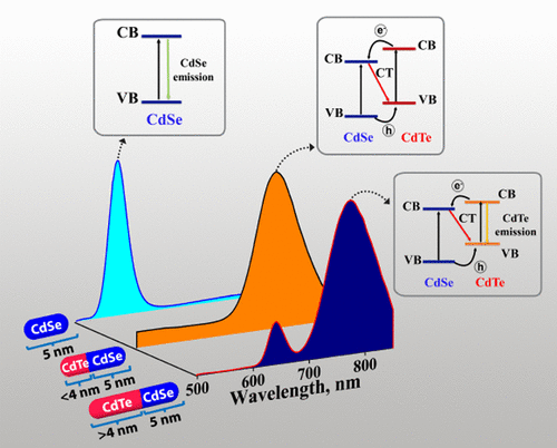 CdSe–CdTe异质结纳米棒：CdTe段在调节电荷转移过程中的作用,ACS Omega - X-MOL