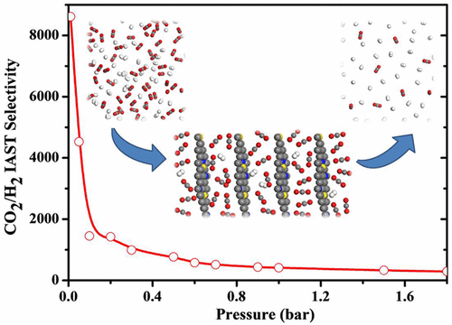 Sulfur–Nitrogen Codoped Graphite Slit-Pore for Enhancing Selective ...