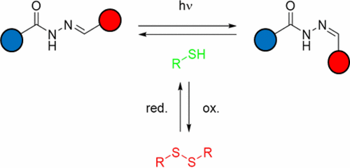 Redox Control over Acyl Hydrazone Photoswitches,Journal of the American ...
