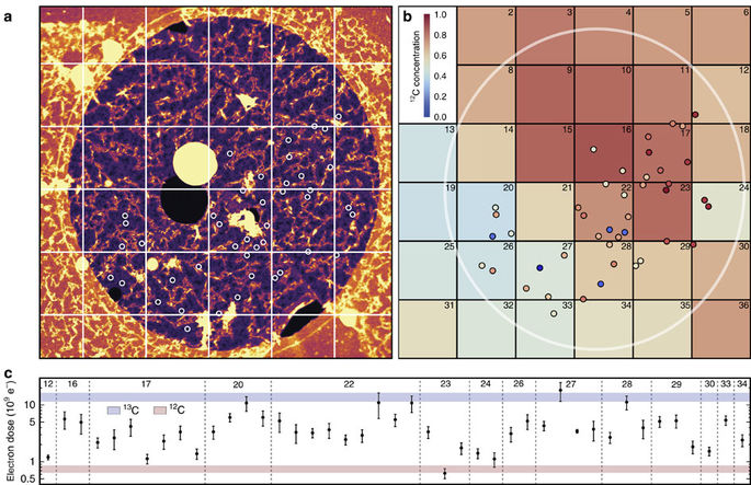Corrigendum: Isotope analysis in the transmission electron microscope ...