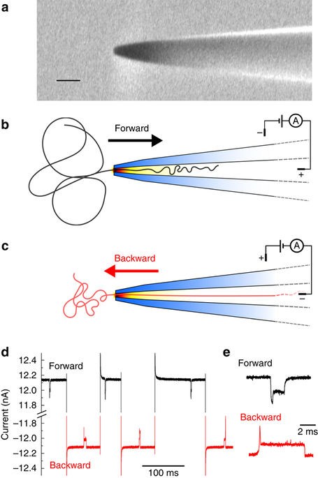 Asymmetric dynamics of DNA entering and exiting a strongly confining ...