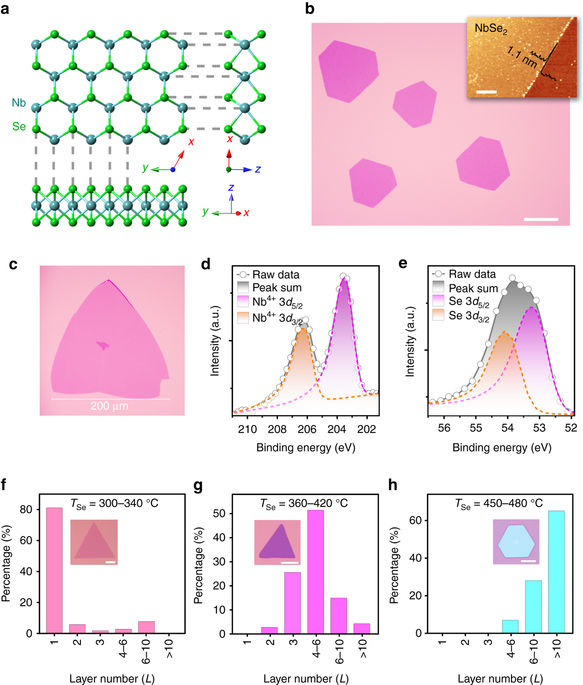 High-quality monolayer superconductor NbSe2 grown by chemical vapour ...