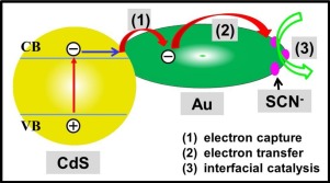Synergistic effect of electron-transfer mediator and interfacial ...
