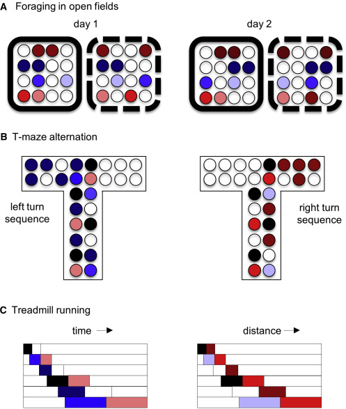 On the Integration of Space, Time, and Memory.,Neuron - X-MOL